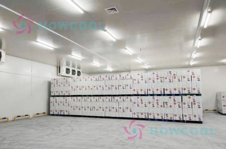 Food Cold Storage Construction – EPC cold storage constructor