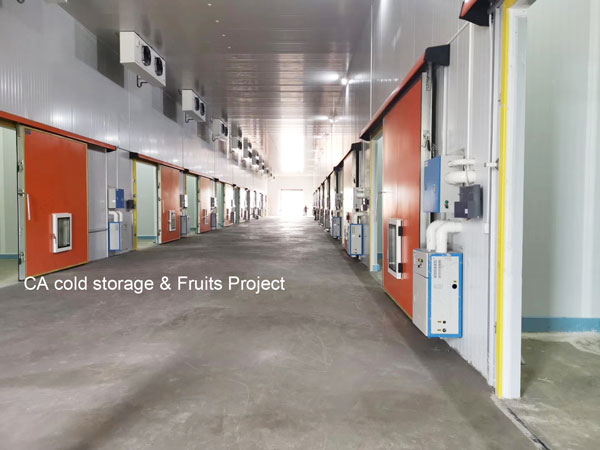 Fruit & Veg. & CA. Cold Storage – EPC cold storage constructor