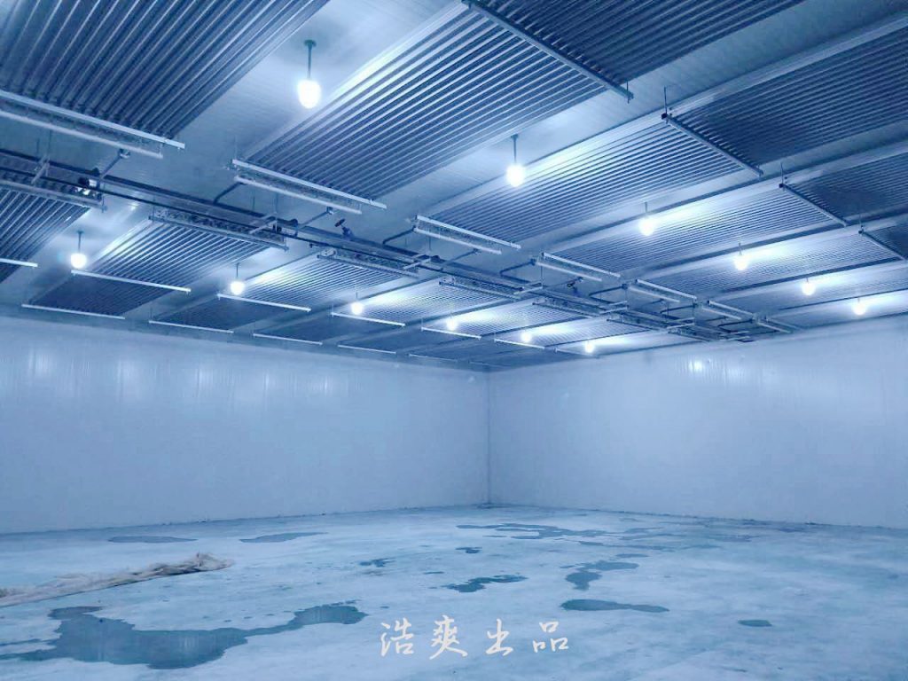 Food Processing Cold Storage Project – EPC cold storage constructor