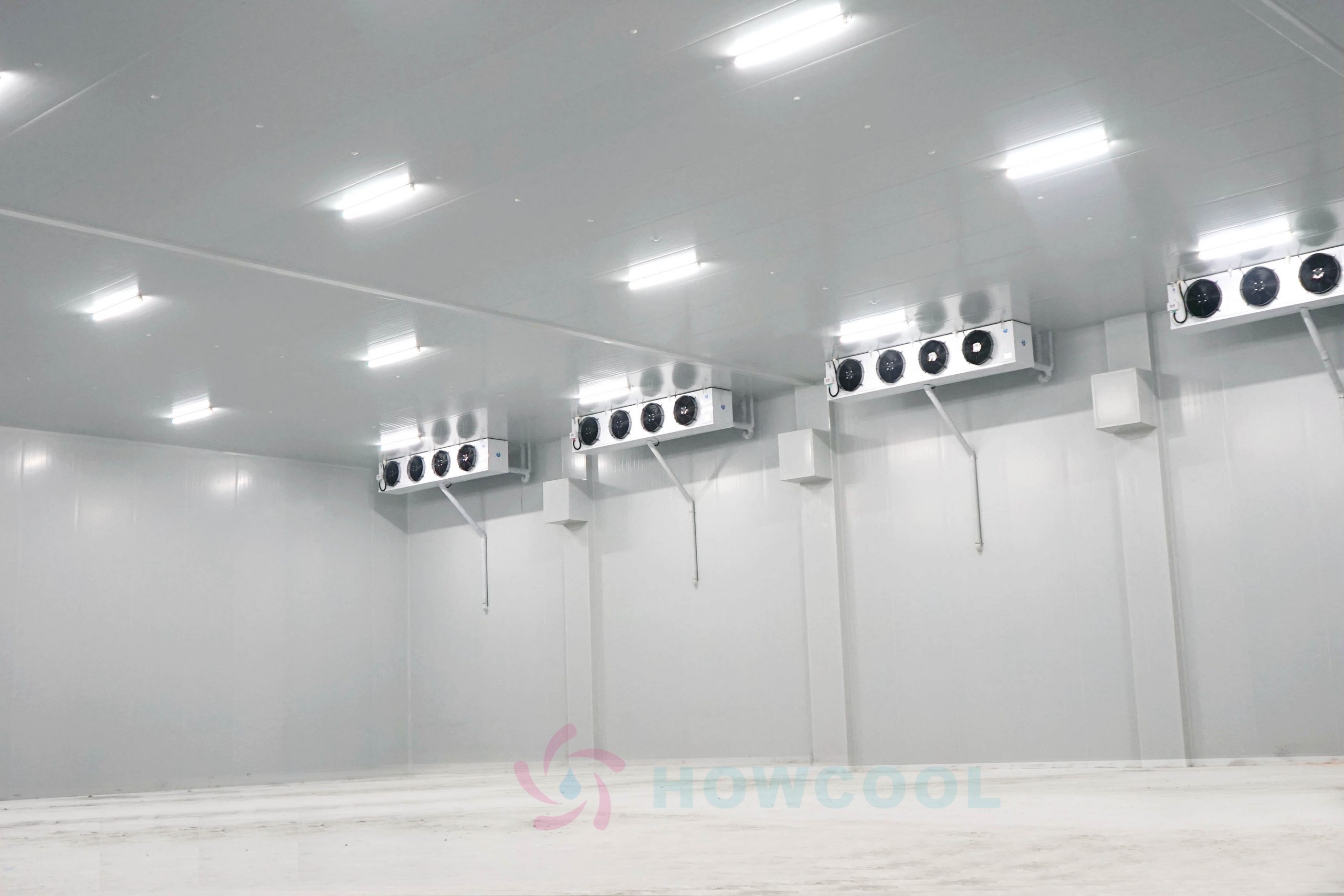 2500t logistics cold storage project - EPC cold storage constructor