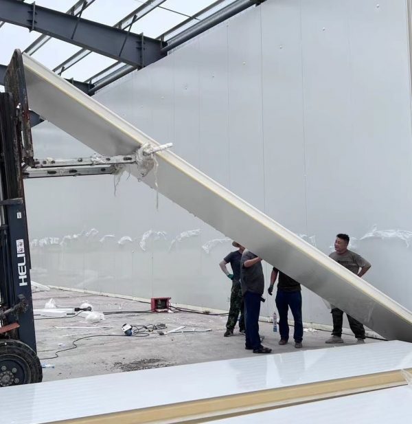 Cold Room Panels (Insulation Panels) – EPC cold storage constructor